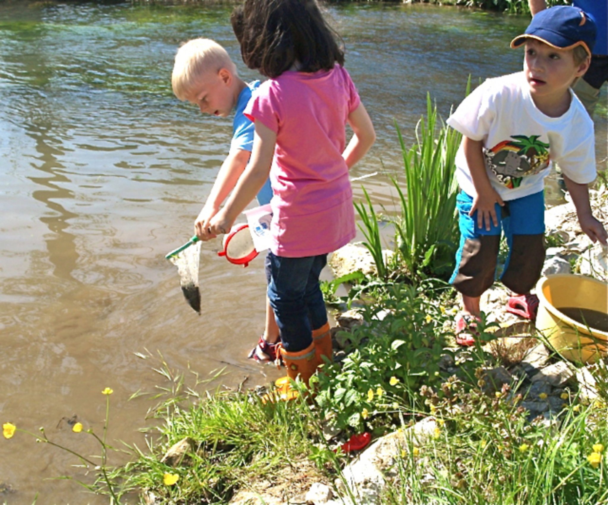 Infos rund um Gewässer und Fisch - Forchheim