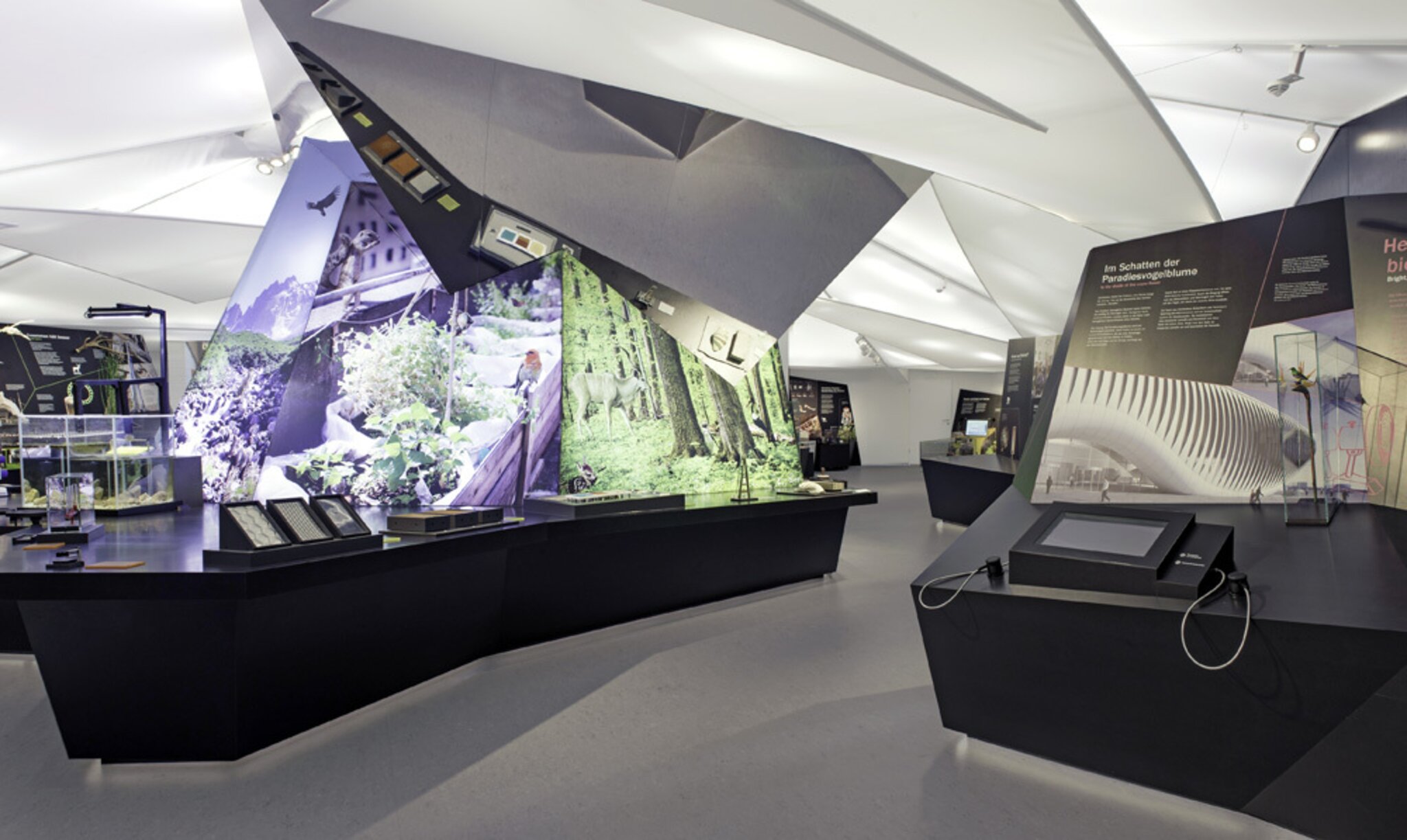 Staatliche Naturwissenschaftliche Sammlungen: Nürnberger Bionicum wird ...