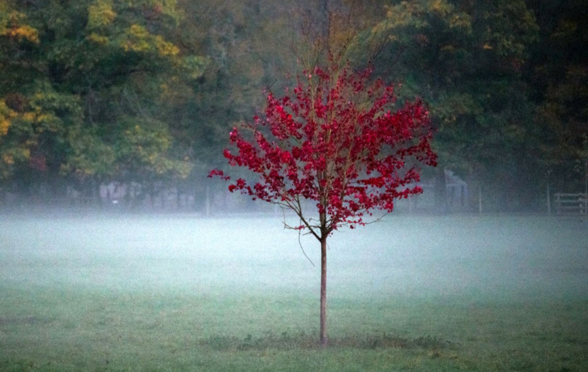 Wetter: Nebel, Regen, Bodenfrost! - Bayern