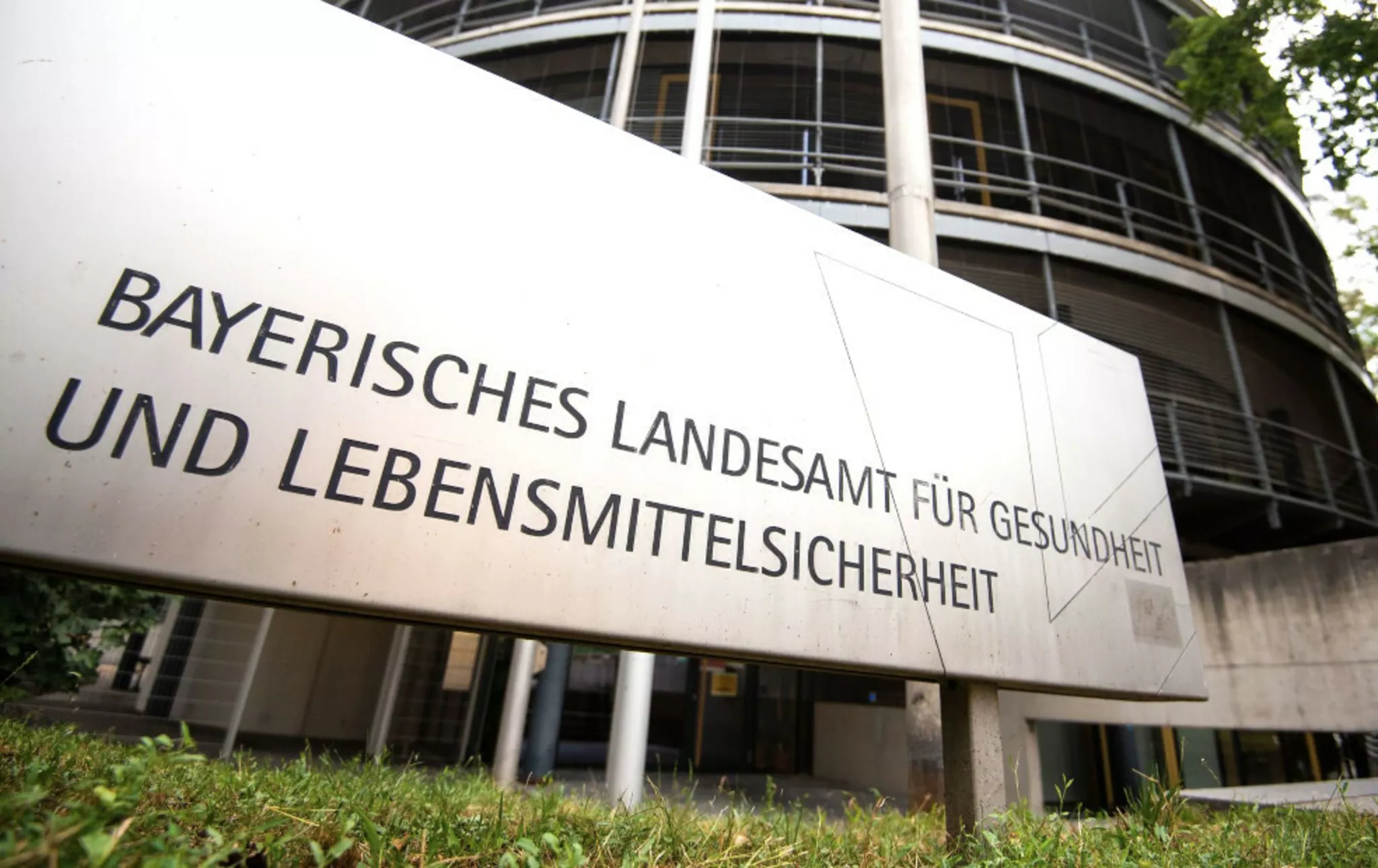 Mann stirbt!: Seltenes Borna-Virus in Bayern - Bayern