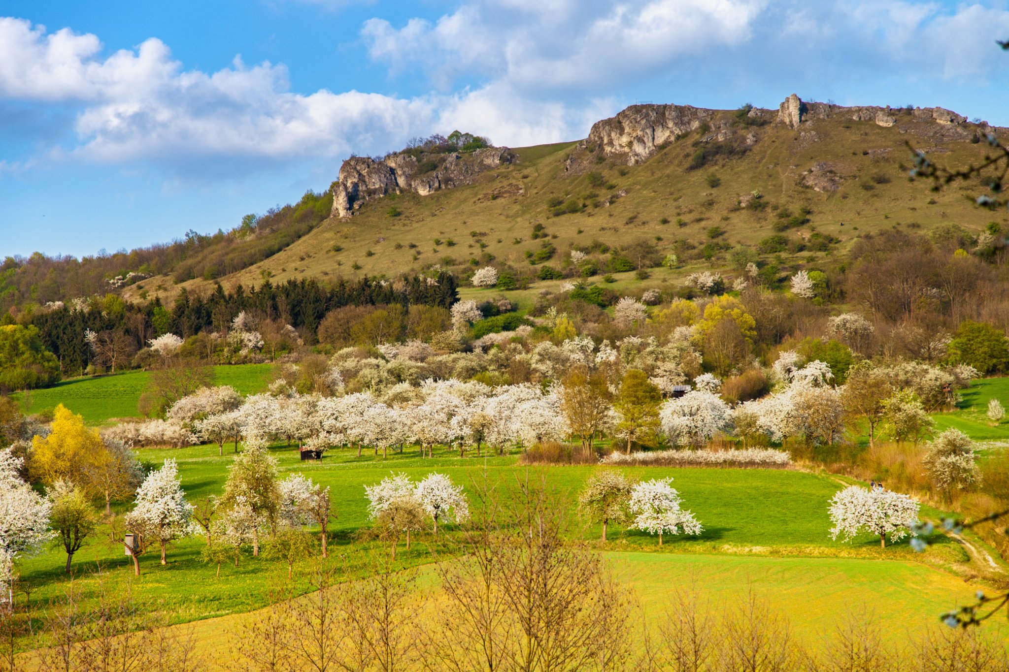Rund um das Walberla wandern